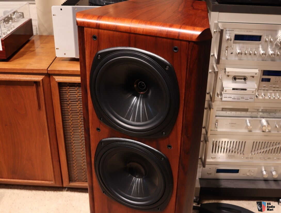 Tannoy D700 Stereo Tower Speakers Photo #5996179 - US Audio Mart