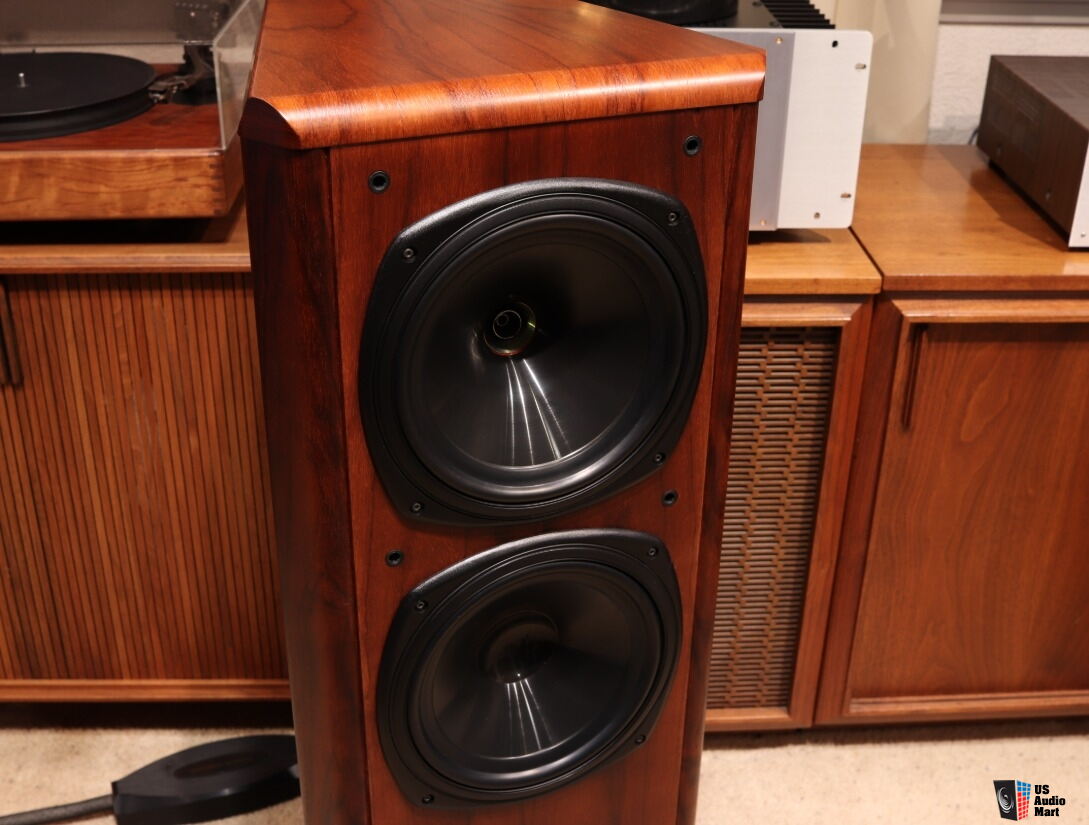 Tannoy D700 Stereo Tower Speakers Photo #5996180 - US Audio Mart