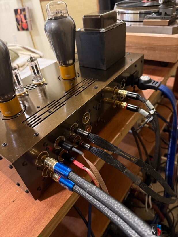 Bottlehead custom 300b preamp Photo #5999246 - US Audio Mart