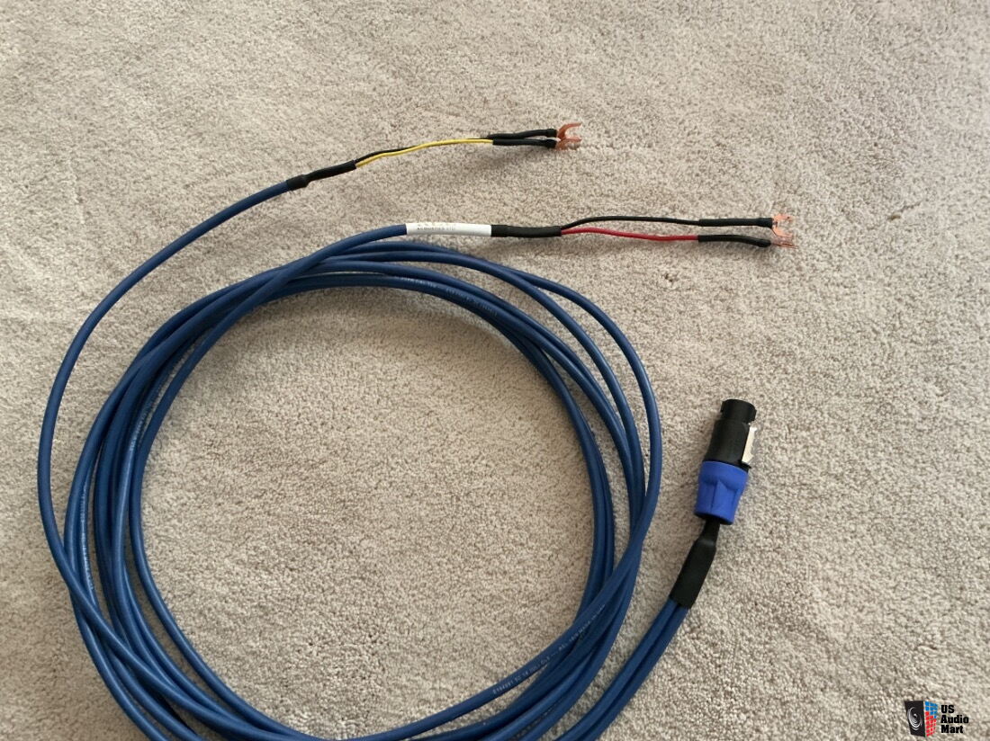REL Baseline Blue Custom Subwoofer Cable 2 x 12 Feet to Speakon ...