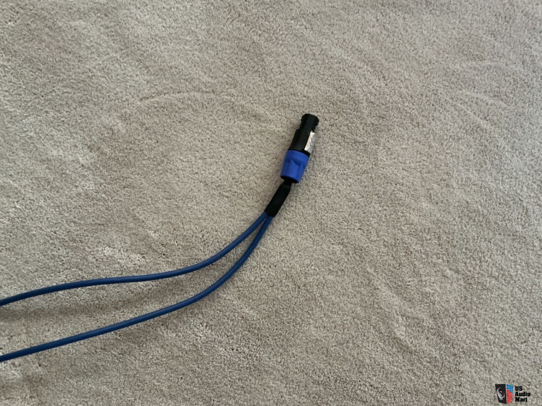 REL Baseline Blue Custom Subwoofer Cable 2 x 12 Feet to Speakon ...