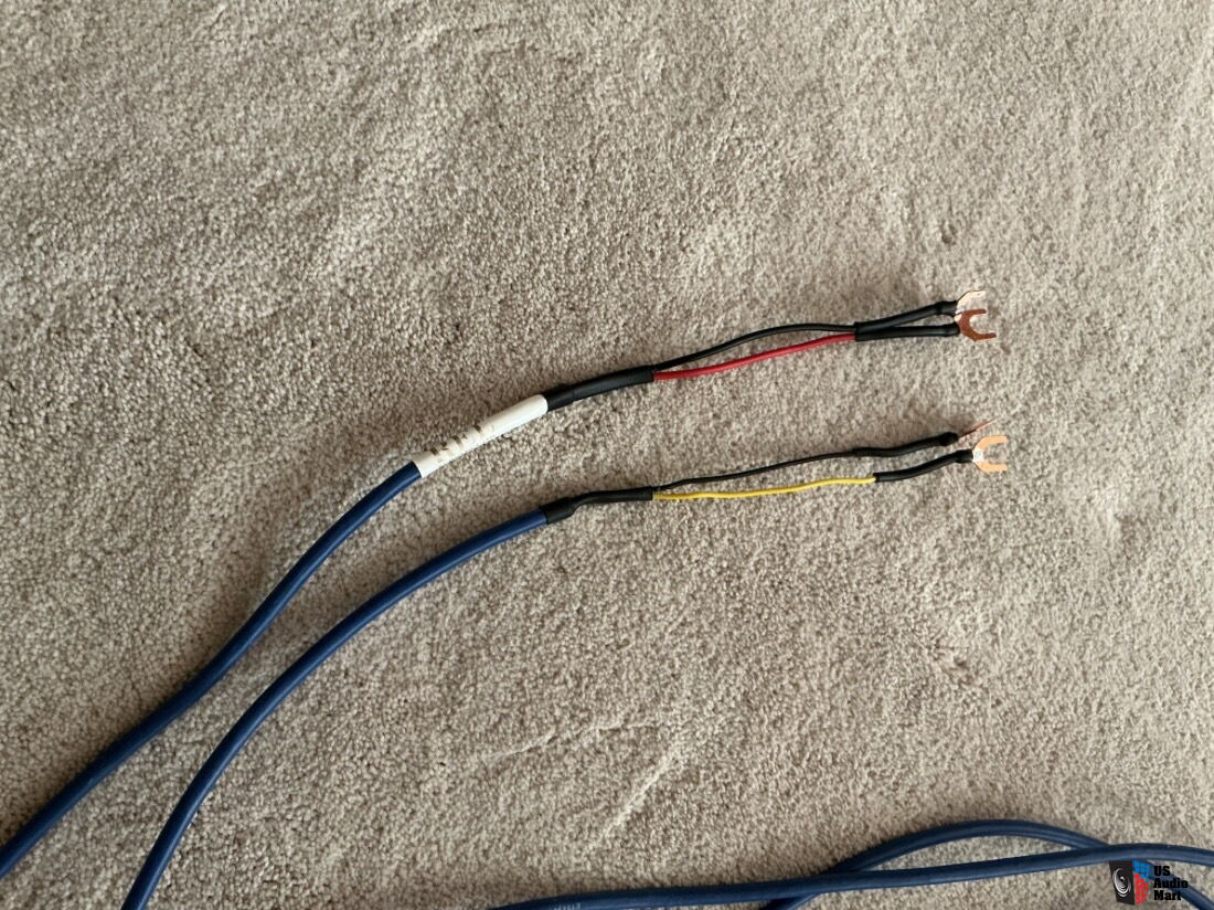 REL Baseline Blue Custom Subwoofer Cable 2 x 12 Feet to Speakon ...