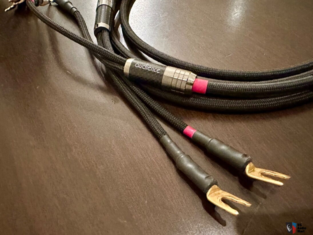 Audience Front Row Speaker Cable, 3M/10ft Pair, Spades, Free Ship, EXC ...