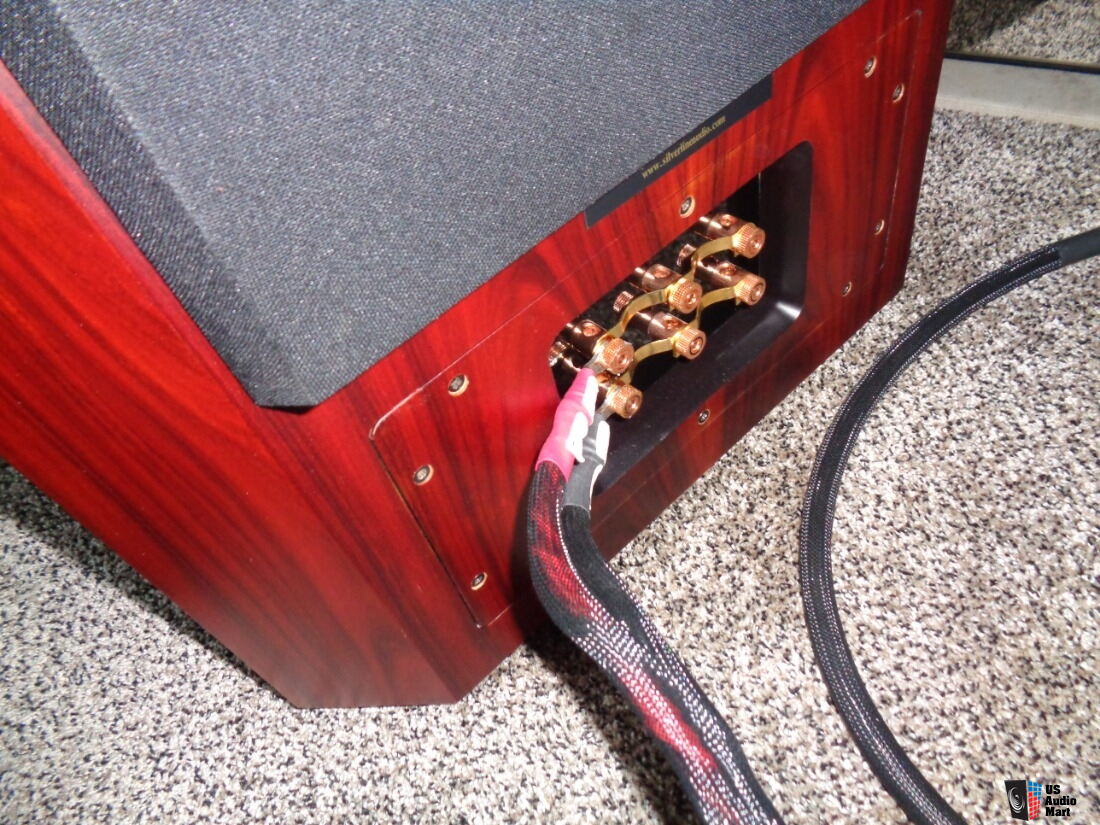 Silverline audio symphonies loudspeakers special order only back then ...