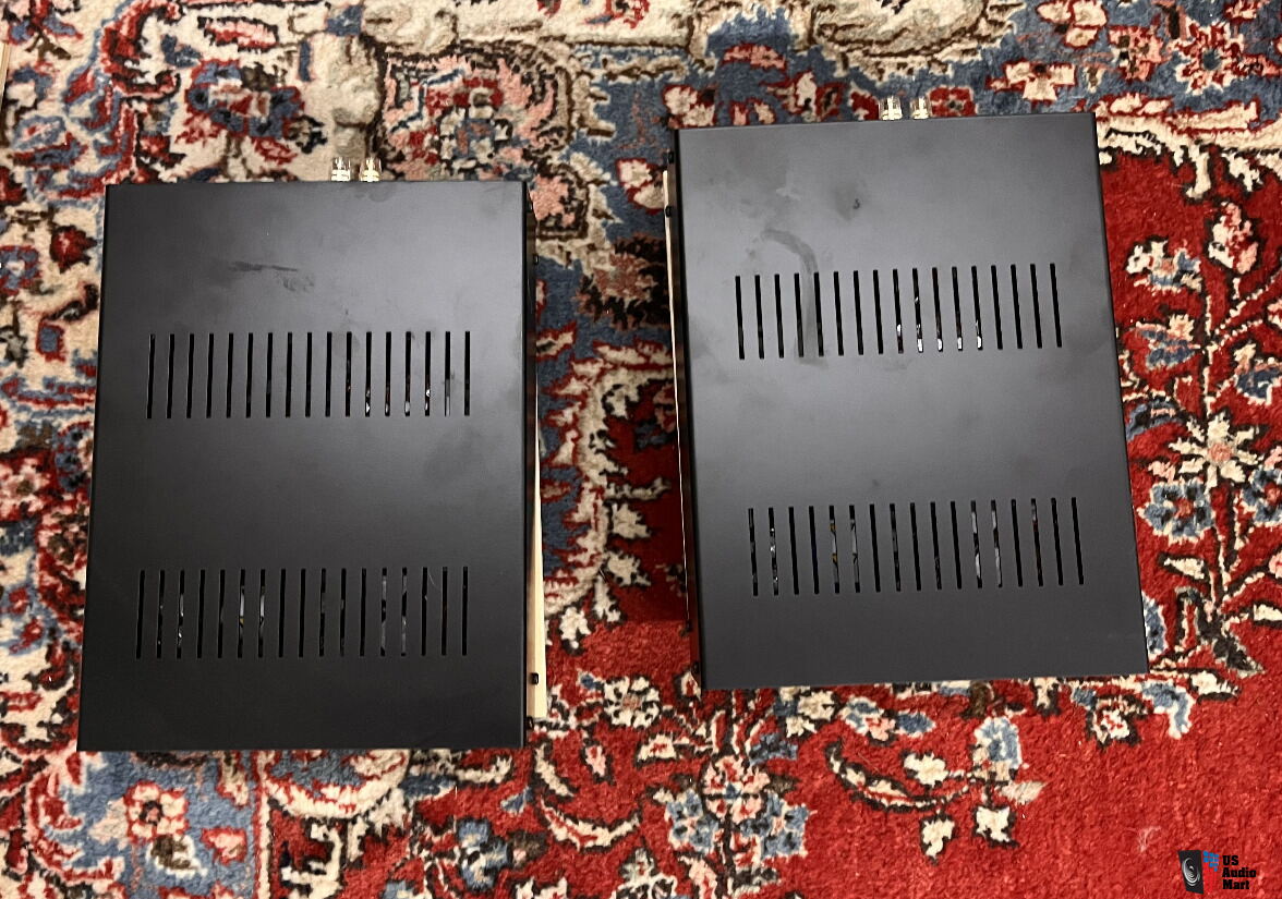 Pair of Buckeye amps using Purifi 1ET7040SA modules 250W at 8ohm Photo ...