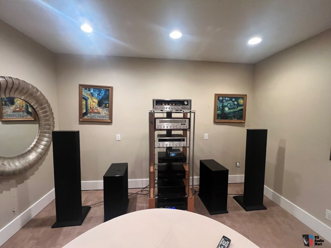 Audio Artistry Dvorak Speakers - Bass Modules and External Crossover ...