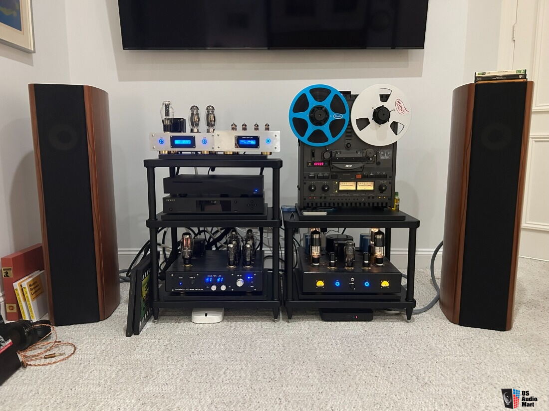 Horning Hybrid Aristotle Ellipse PM65 Speakers with free $2k Townshend ...