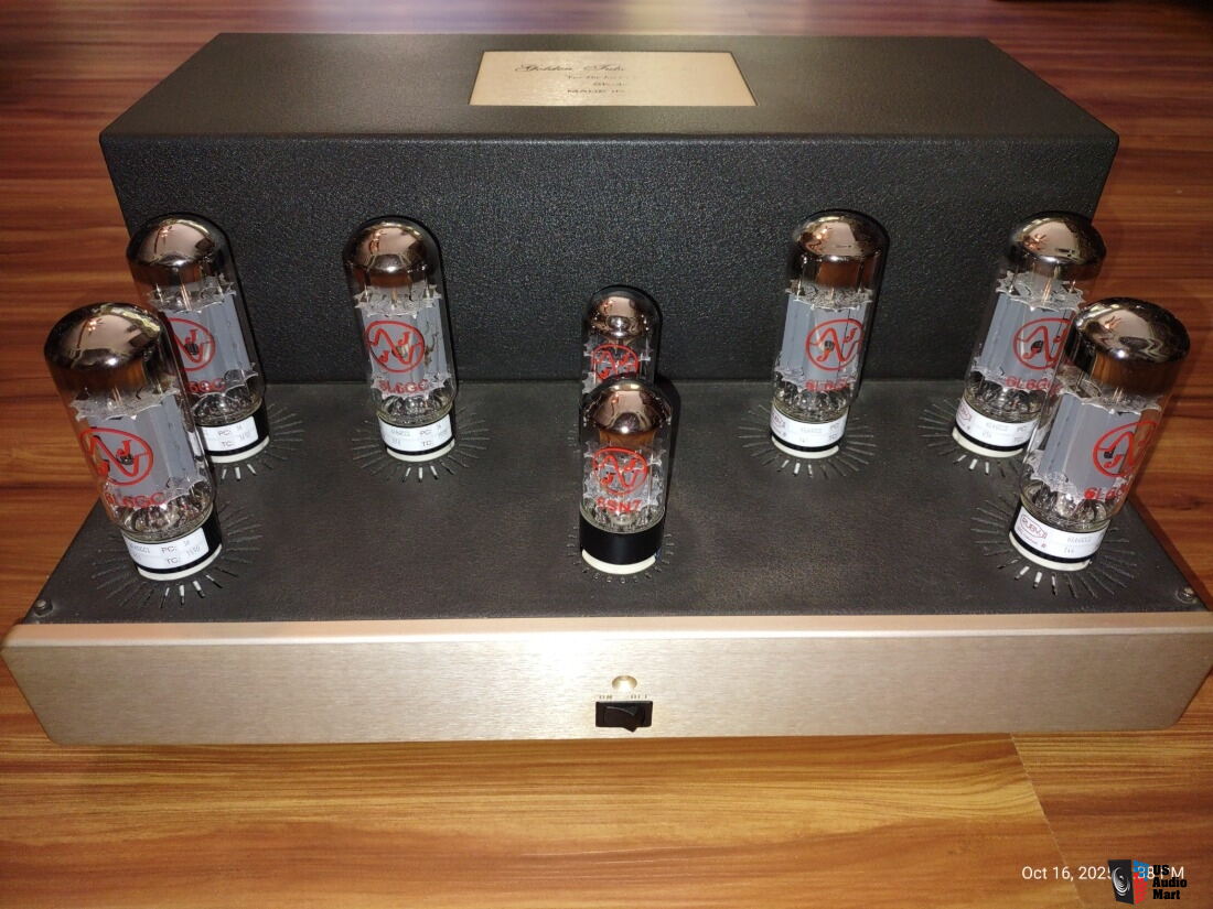 Golden Tube SE-40 Power Amplifier Photo #6017183 - US Audio Mart
