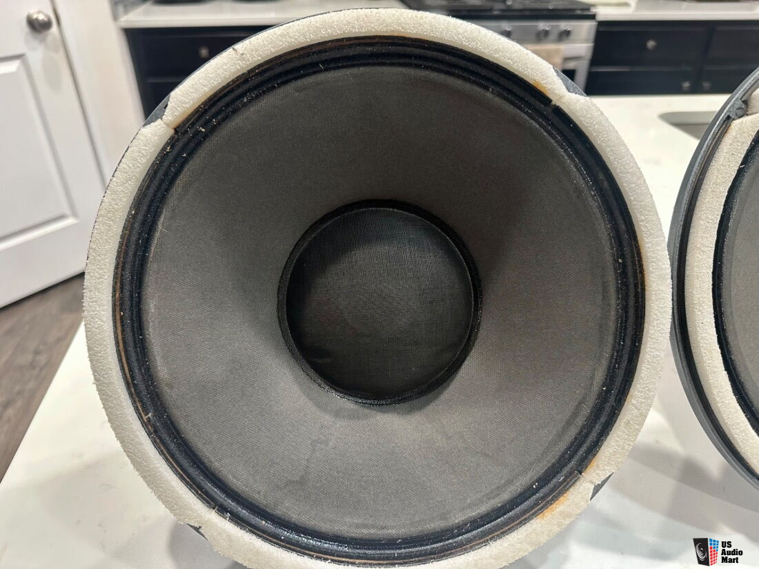 Tannoy Monitor Red LSU/HF/12.L 12" Drivers with Crossovers Photo ...