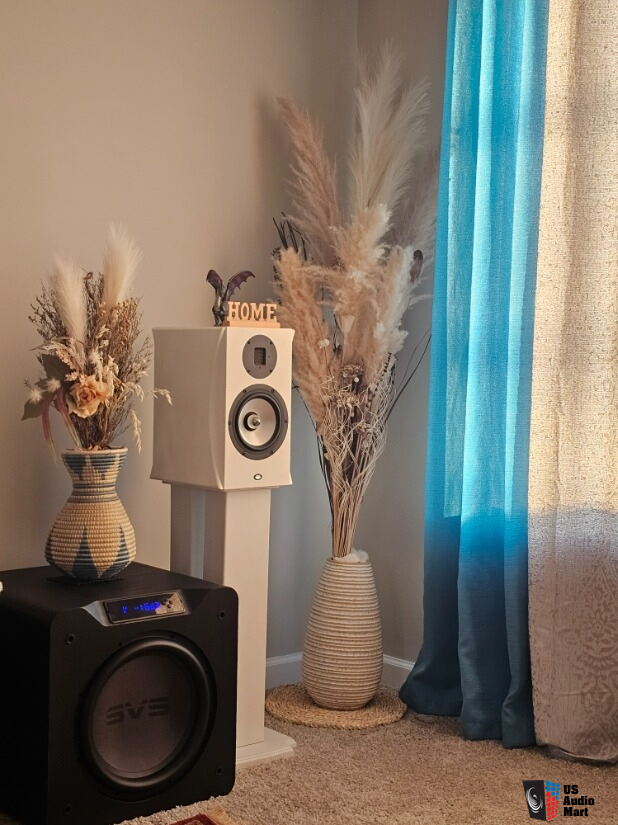 SVS SB4000 Powered Subwoofer with remote and DSP Processing black ash ...