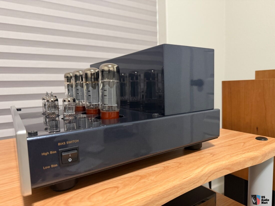 PrimaLuna EVO 200 Power Amplifier FREE shipping Photo #6023072 - US ...