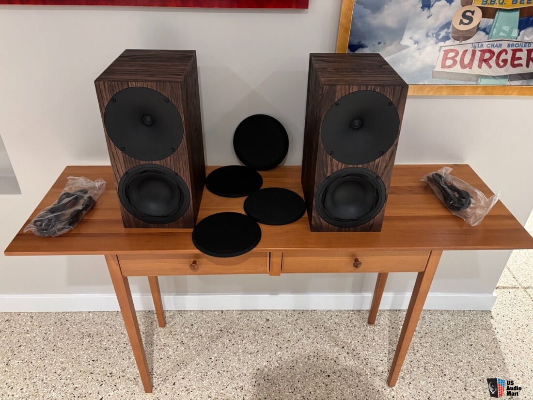 Buchardt Anniversary 10 A10 with Platin Hub Photo #6024181 - US Audio Mart