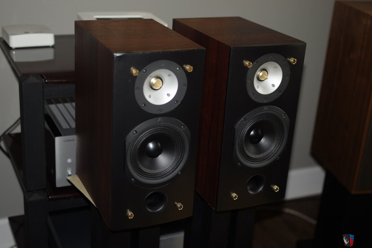 Triangle Titus ES Photo #6037594 - US Audio Mart