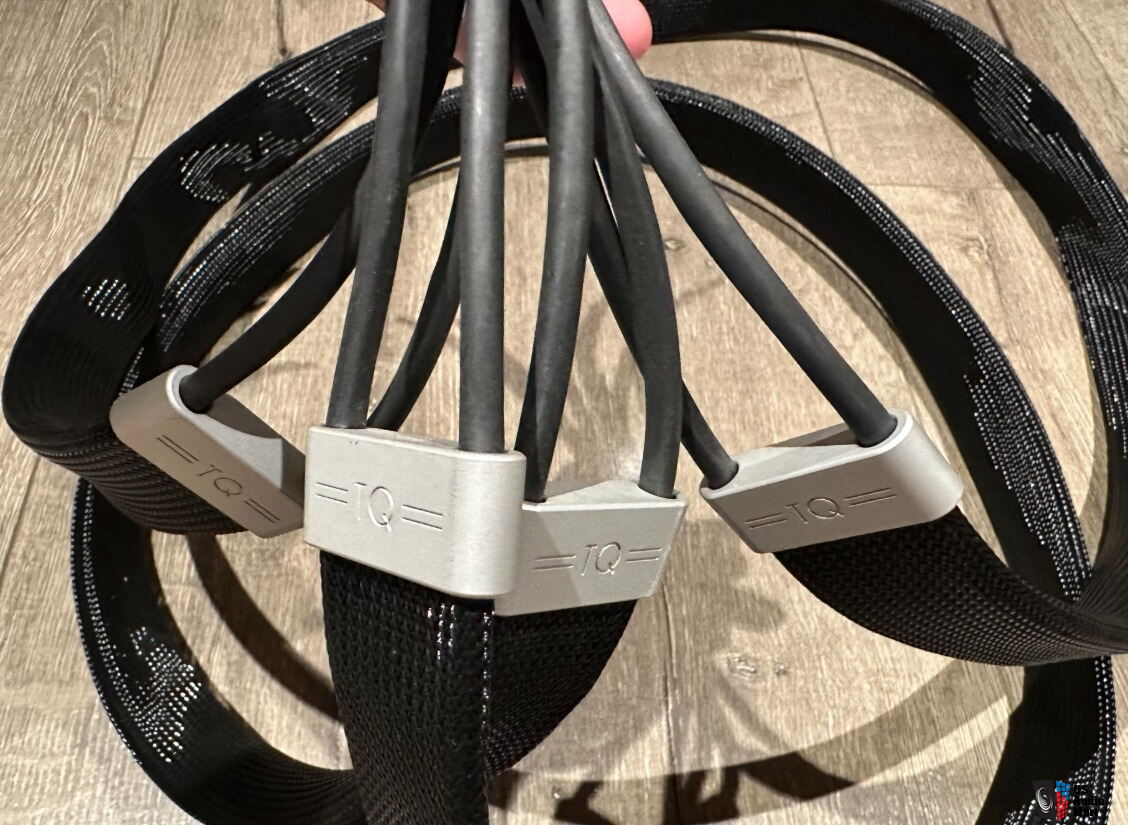 Tellurium Q Ultra Black II Speaker Cables with Banana Ends (2 meter ...