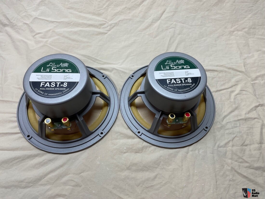 Lii Song Fast 8 speaker pair....VERY lightly used Photo #6043631 - US ...