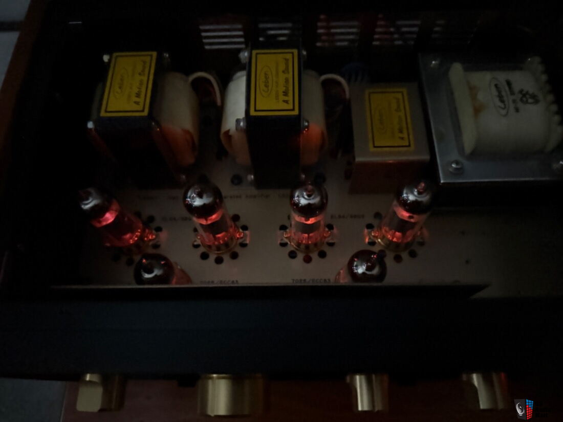 LEBEN CS-300X Photo #6047937 - US Audio Mart