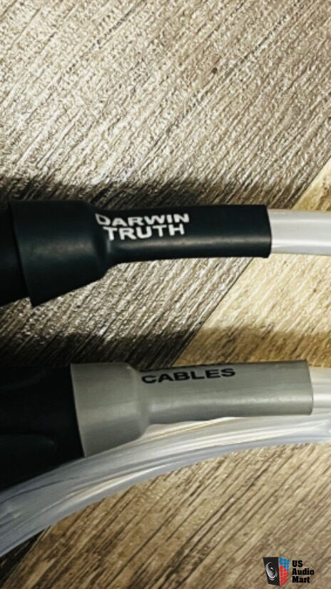 Darwin Cables pure silver XLR Photo #6048106 - US Audio Mart