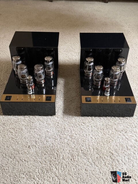 VAC MB160 Monoblocks Photo #6050229 - US Audio Mart