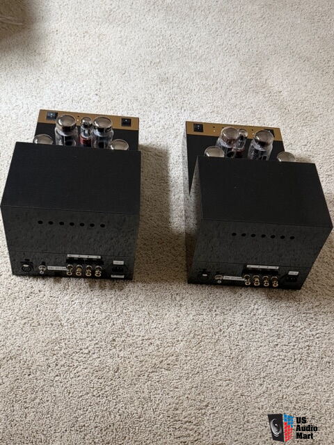 VAC MB160 Monoblocks Photo #6050231 - US Audio Mart