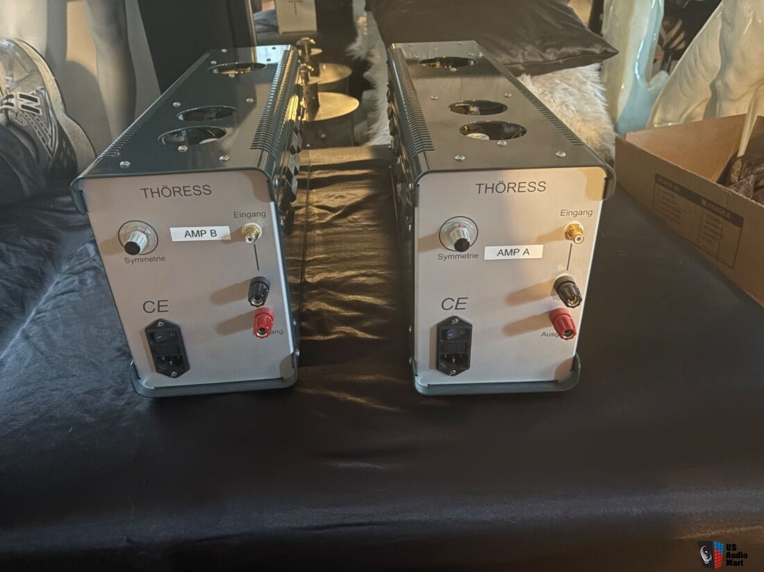 Thoress 300b Monoblock amplifier pair Photo #6056929 - US Audio Mart