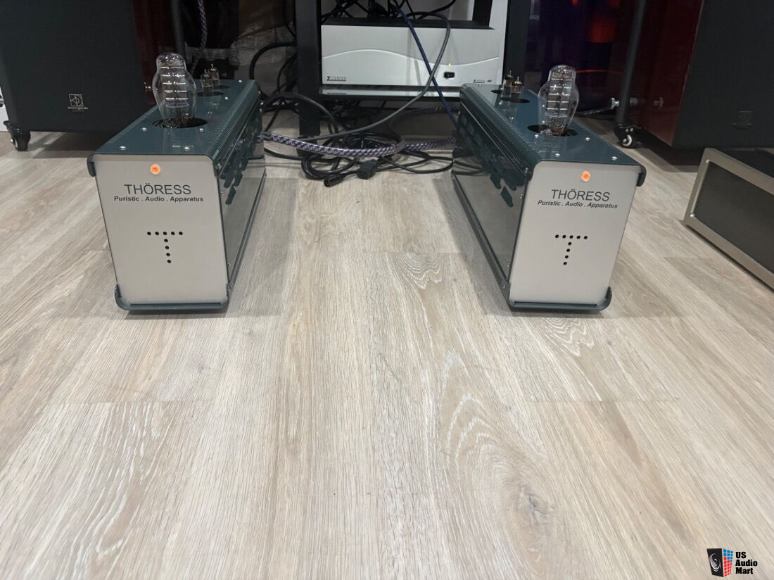Thoress 300b Monoblock amplifier pair Photo #6056924 - US Audio Mart