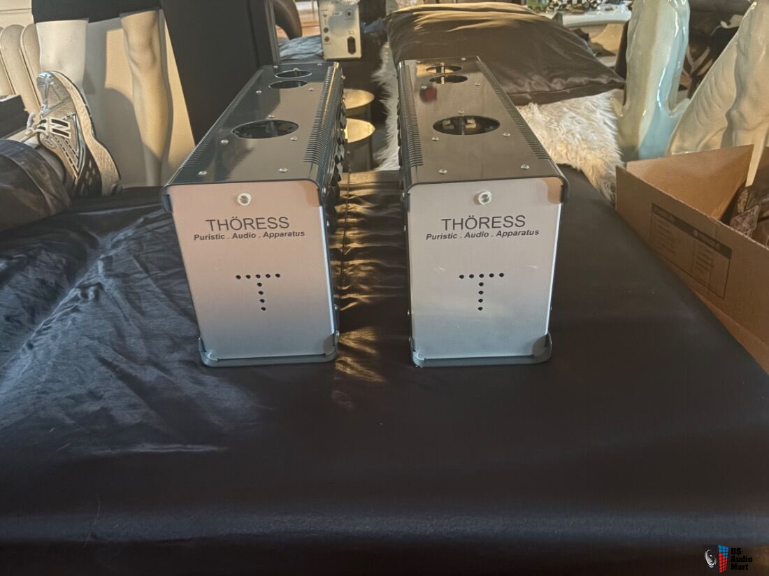Thoress 300b Monoblock amplifier pair Photo #6056929 - US Audio Mart