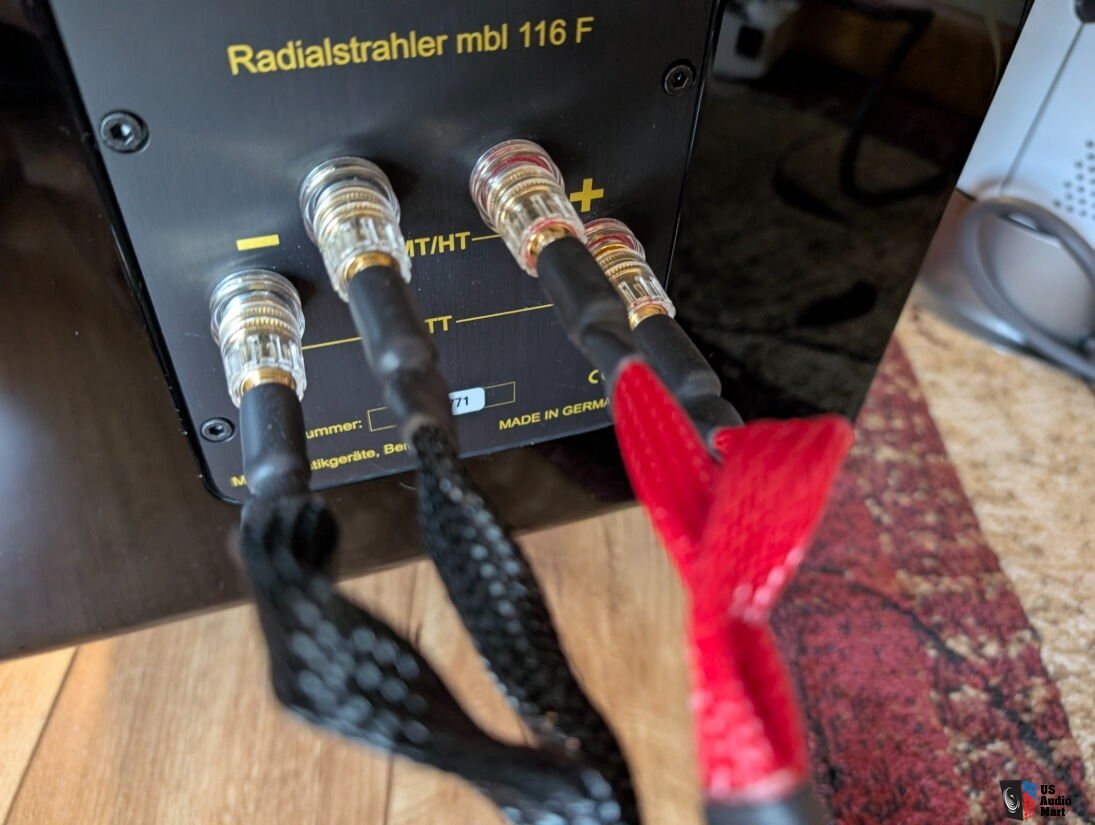 MBL 116F Radialstrahler loudspeakers Photo #6065628 - US Audio Mart