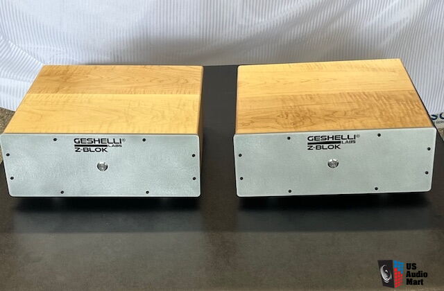 Geshelli Labs Z block Mono Block Amps Photo #6066235 - US Audio Mart