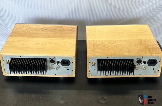 Geshelli Labs Z block Mono Block Amps Photo #6066235 - US Audio Mart