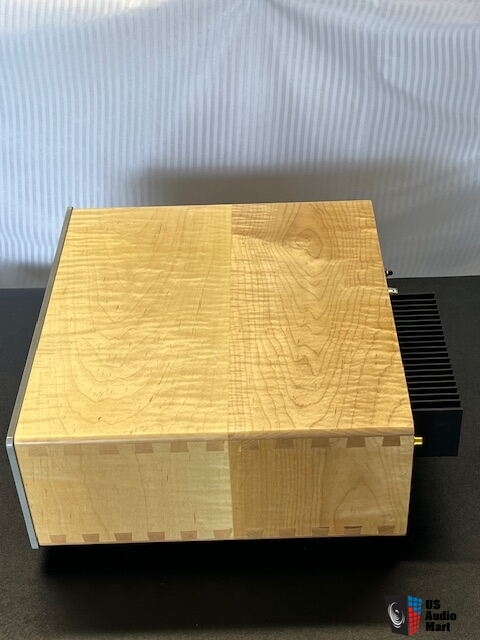 Geshelli Labs Z block Mono Block Amps Photo #6066235 - US Audio Mart