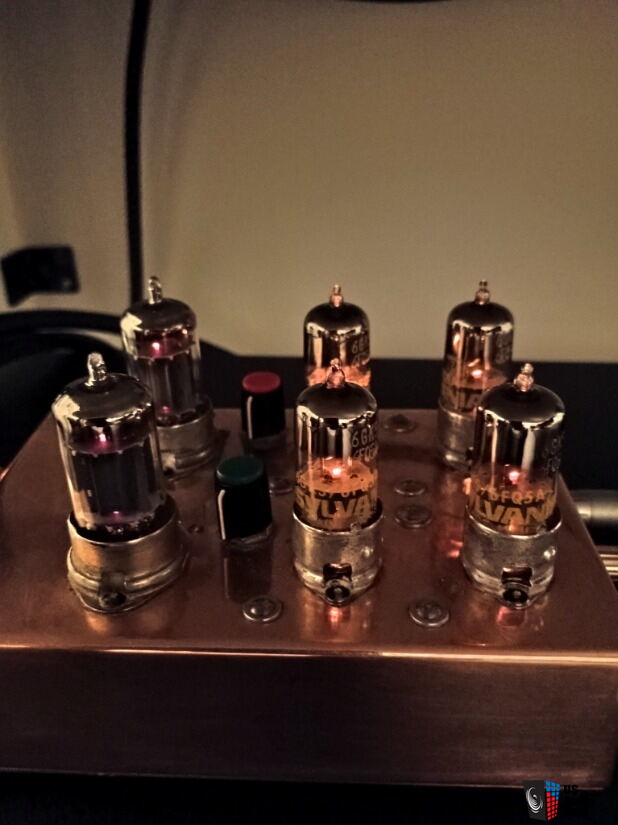 Wright Sound WPP100C Tube Phono Stage Photo #6067758 - US Audio Mart