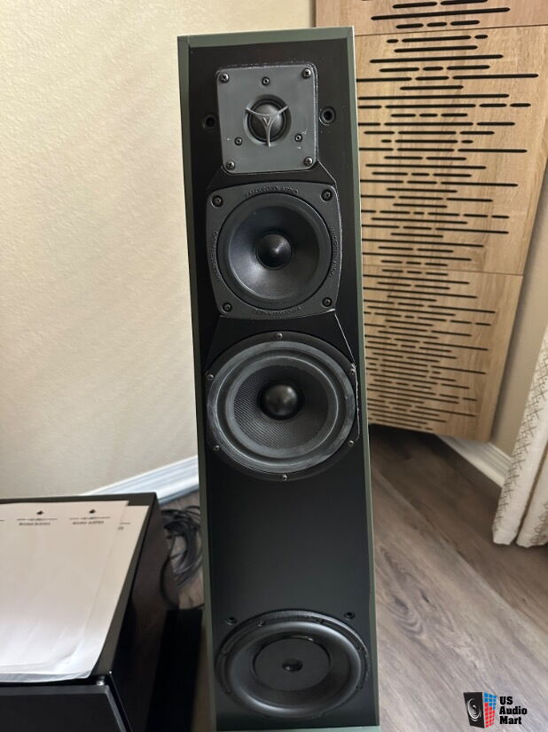 Vandersteen Treo CT Photo #6070190 - US Audio Mart