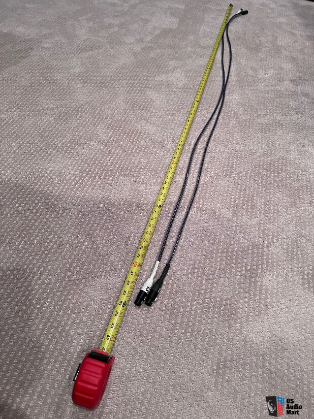 Analysis Plus Solo Crystal Oval XLR interconnect cables - 2 meters ...