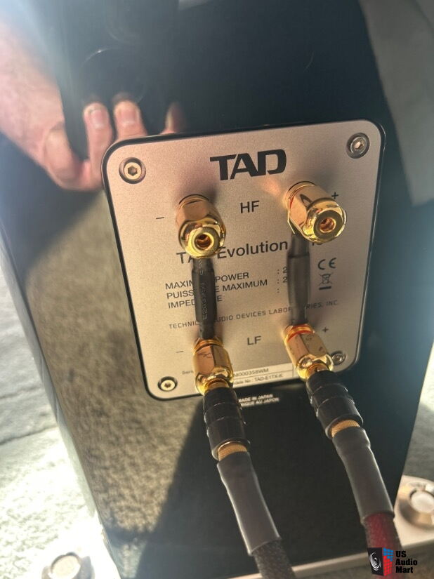 TAD E1tx Gloss Black in mint condition!! Photo #6072330 - US Audio Mart