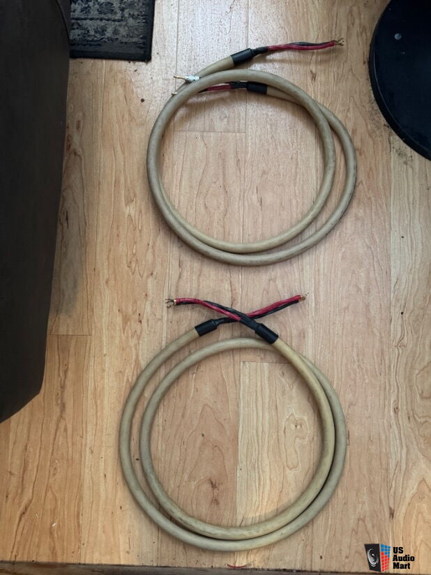 MIT MH750-6 foot pair music hose speaker cables.early version For Sale ...