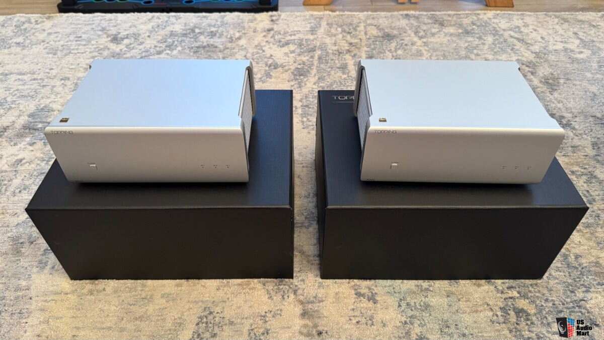 Topping B200 Monoblock Amplifiers Photo #6072625 - US Audio Mart