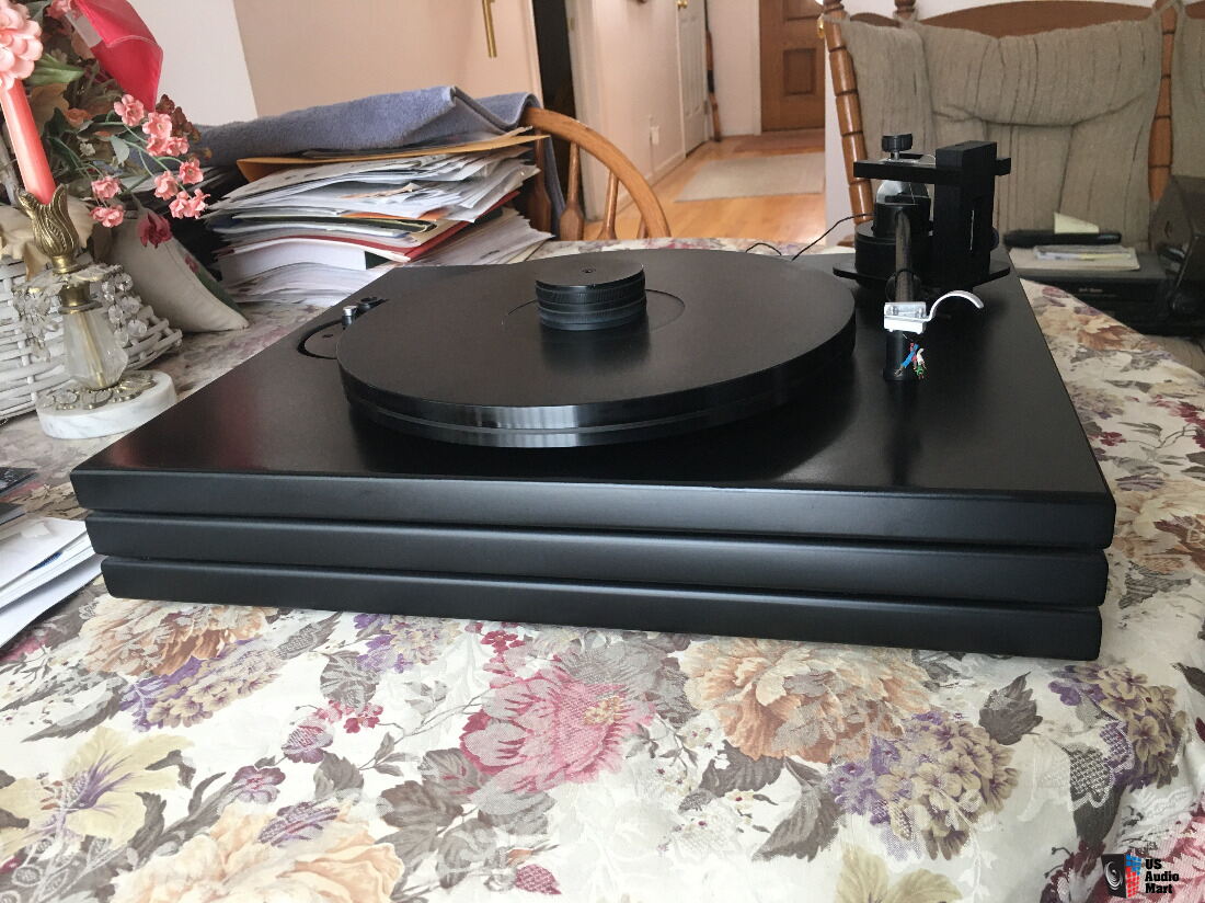 Well Tempered Classic Turntable with Reference Tonearm For Sale - US ...