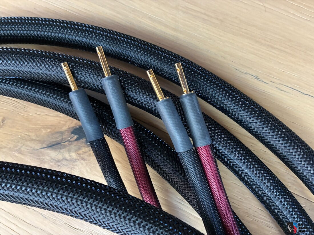 Transparent Audio Super Gen 6 12ft Speaker Cables Photo #6078995 - US ...