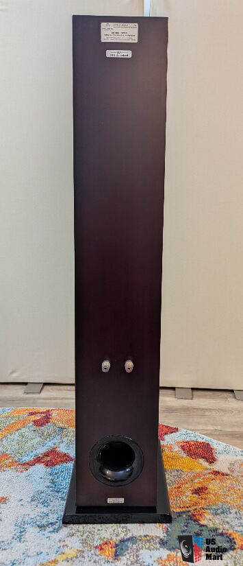 Ascend Acoustics ELX towers in Satin Cherry with RAAL tweeters Photo ...