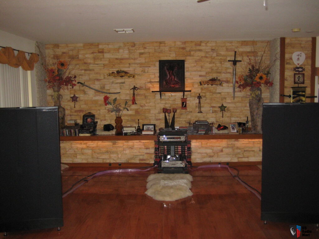 EAR 890 tube amplifier Tim de Paravicini Photo #610691 - US Audio Mart