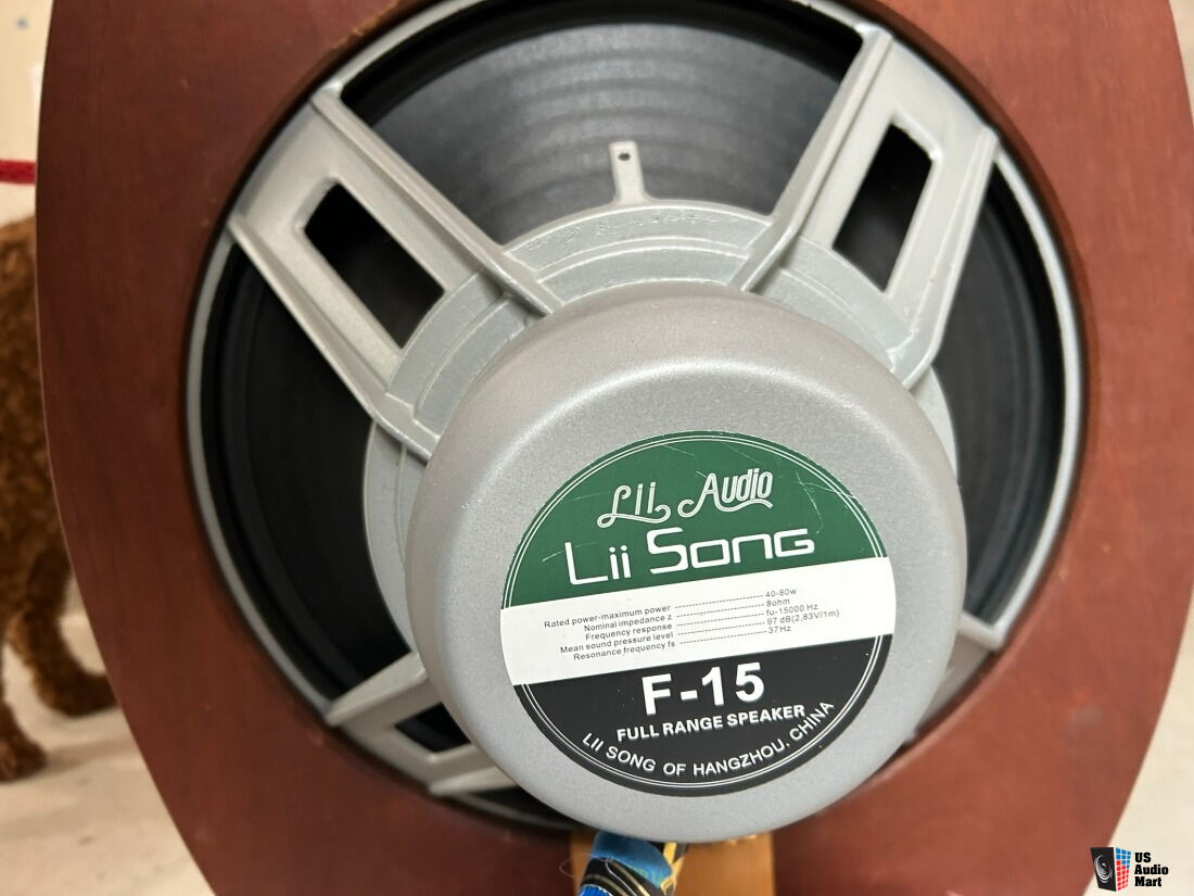 Open Baffle Clone - Lii Audio F-15 Full-range Photo #6112860 - US Audio ...