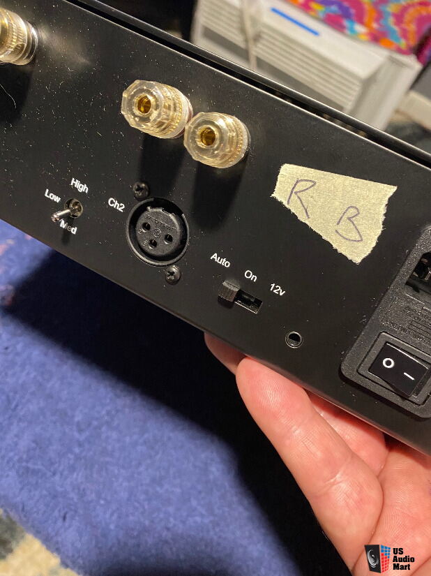 2 Channel Buckeye Amp Purifi Eigentakt 1ET400A Stereo Class-D Amplifier ...