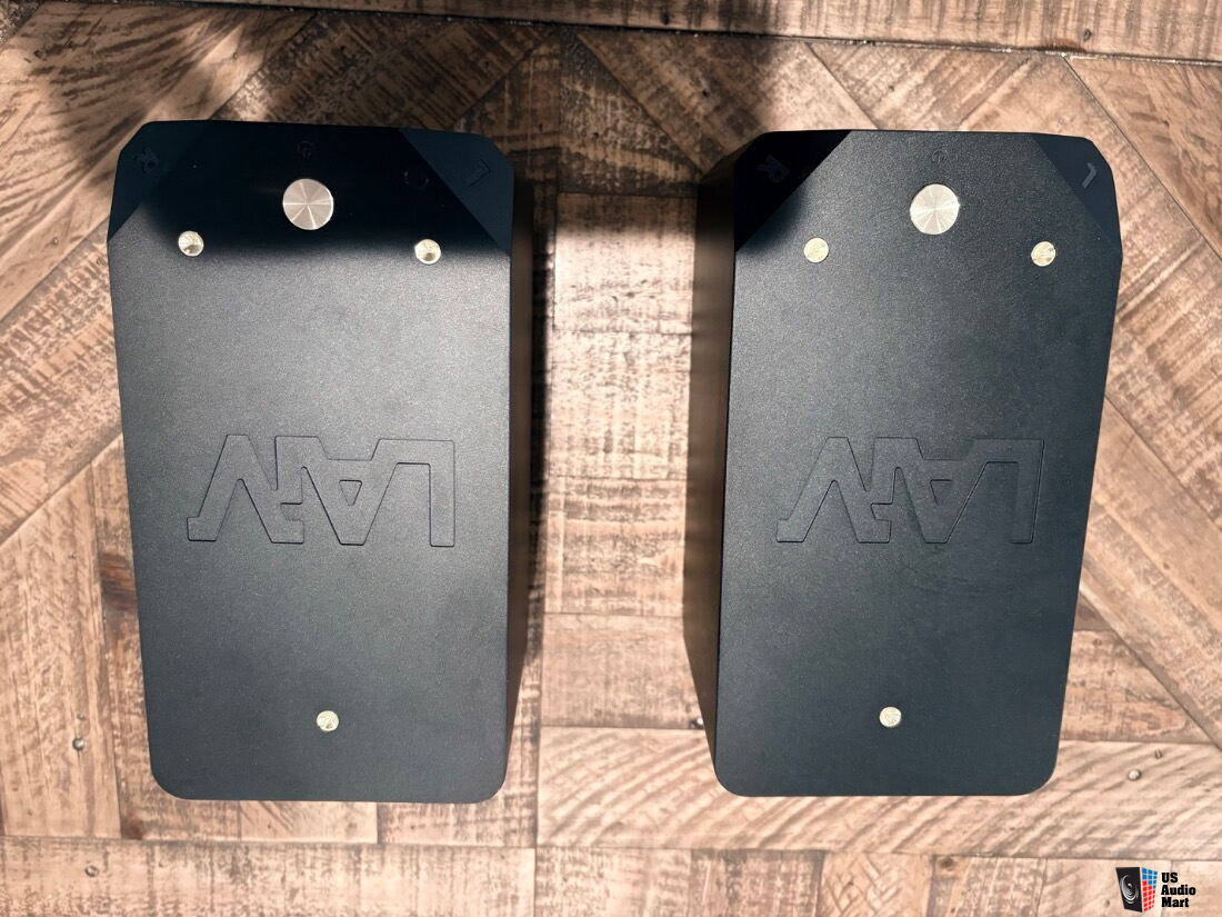 Laiv GaNM mono amplifiers Photo #6123383 - US Audio Mart