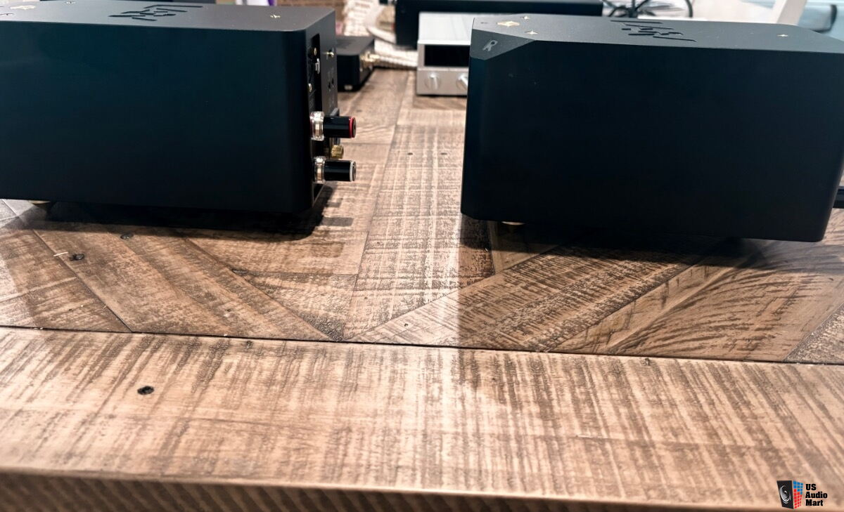 Laiv GaNM mono amplifiers Photo #6123384 - US Audio Mart