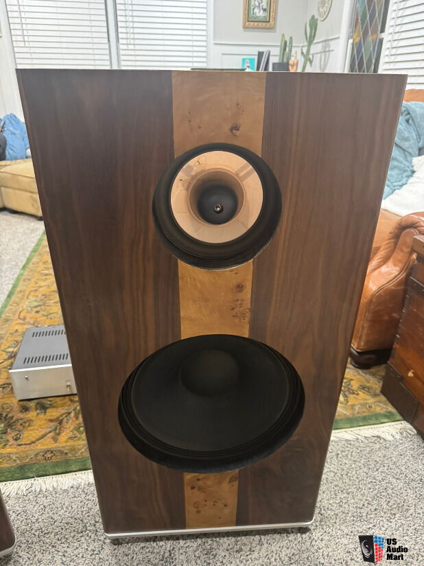 Rare, custom Pure Audio Project Duet Open Baffles with Lowther Field ...