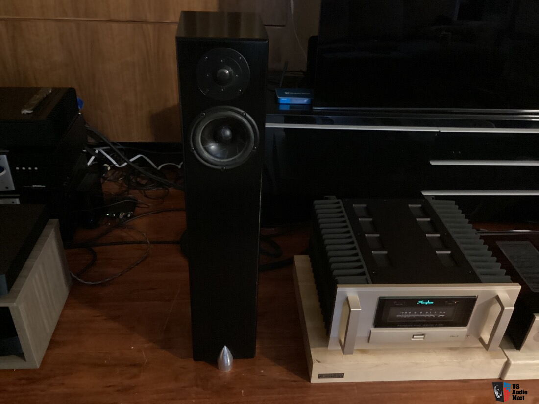 Totem acoustic Hawk speakers in blacks ash Photo #6139206 - US Audio Mart