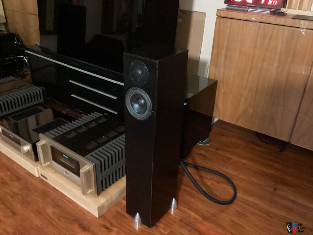 Totem acoustic Hawk speakers in blacks ash Photo #6139206 - US Audio Mart