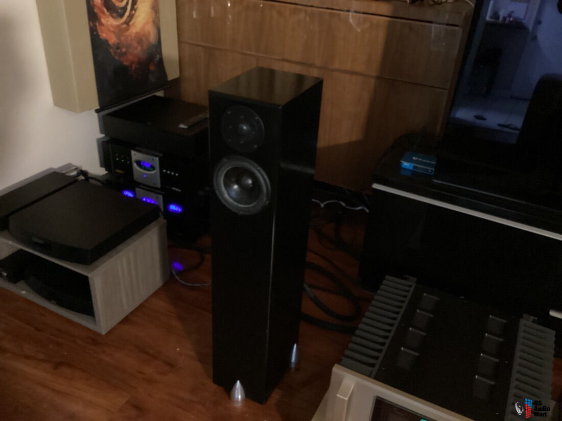 Totem acoustic Hawk speakers in blacks ash Photo #6139206 - US Audio Mart