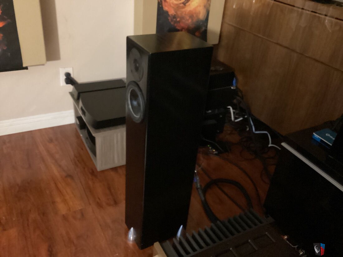 Totem acoustic Hawk speakers in blacks ash Photo #6129338 - US Audio Mart