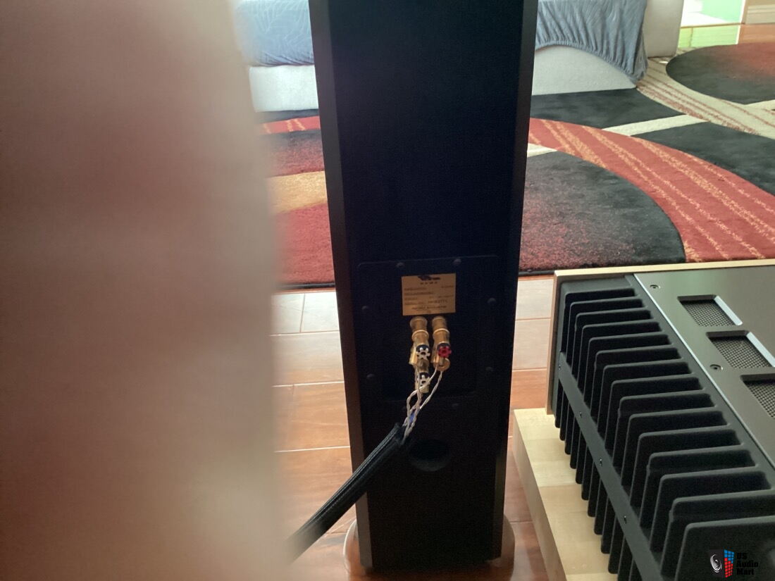 Totem acoustic Hawk speakers in blacks ash Photo #6139206 - US Audio Mart